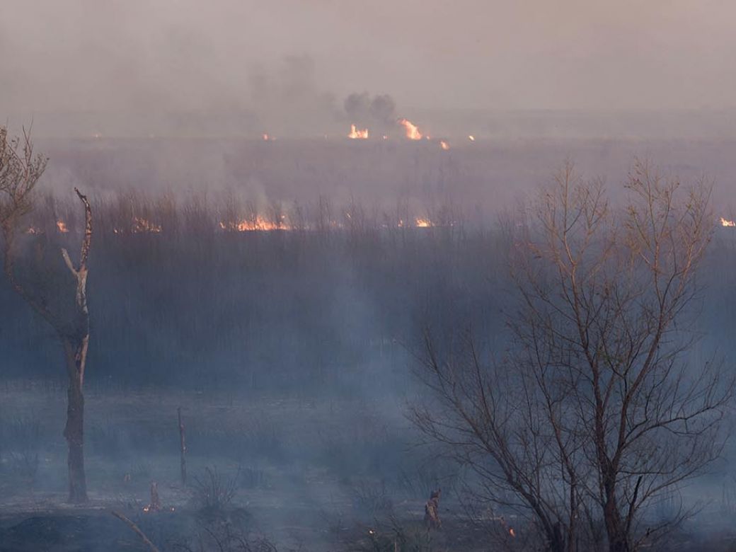 Un frente de humo avanza sobre Buenos aires: Recomendaciones del ...