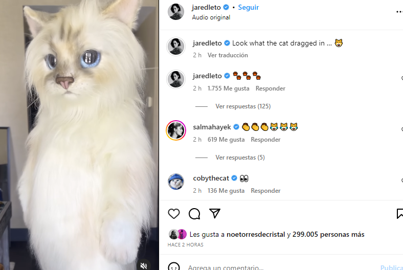 MET Gala: la razón por la que Jared Leto fue vestido de gato